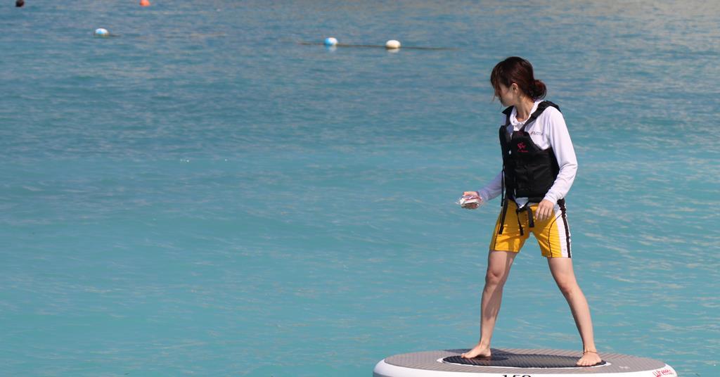 Yanmar develops new marine activity called “Wheeebo” | News briefs | Sporting Goods Intelligence