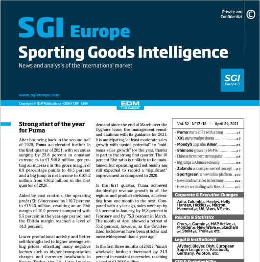 SGI Europe Executive Edition: Vol 32 - 17+18 | PDF Newsletter ...