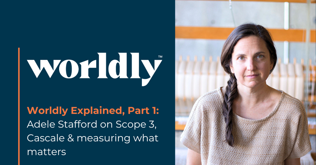 Worldly explained: The Higg Index, Cascale and measuring environmental ...