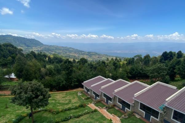 Decathlon’s Kenyan running project, and some others | Article ...