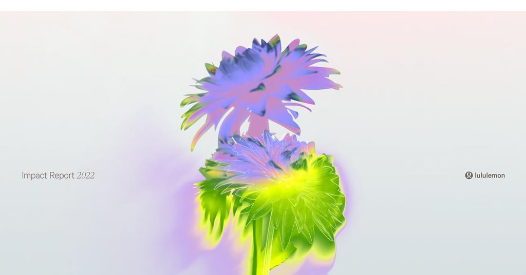 Lululemon releases latest Impact Report | Article | Sporting Goods ...