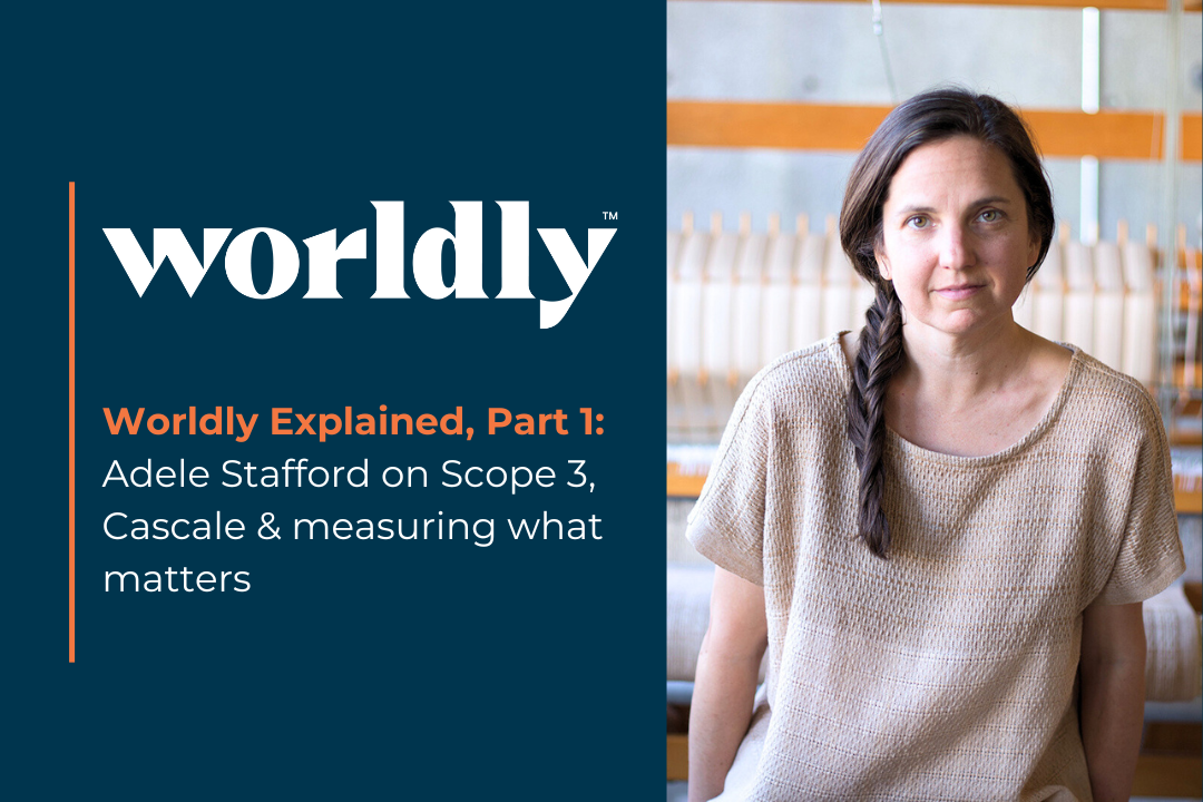 Worldly explained: The Higg Index, Cascale and measuring environmental ...