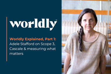 Worldly explained: The Higg Index, Cascale and measuring environmental ...